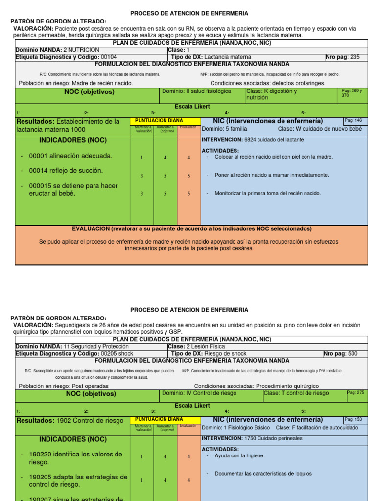 Pae Color Actual | PDF | Infantes | Enfermería