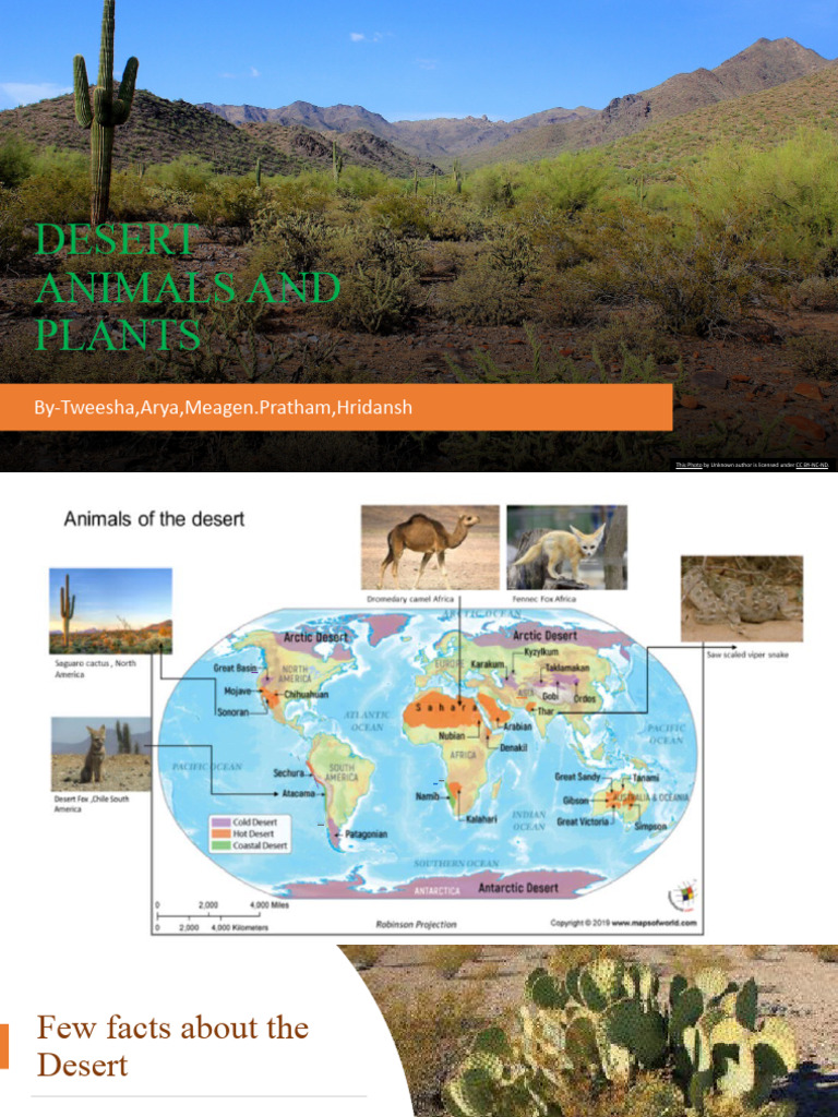 Bio Project Completed Final | PDF | Desert | Camel