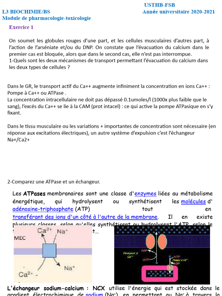 Mécanismes de transport du calcium cellulaire | PDF | Membrane cellulaire | Adénosine triphosphate