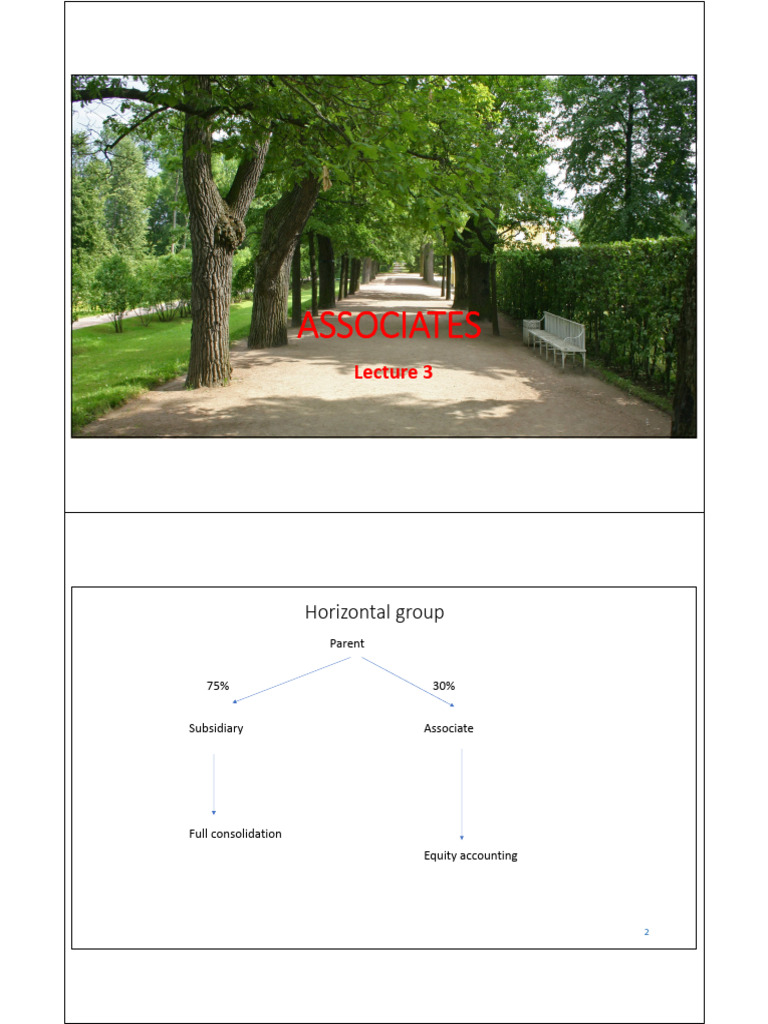Ias 28 | PDF | Equity (Finance) | Balance Sheet