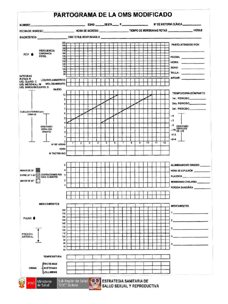 Partograma | PDF