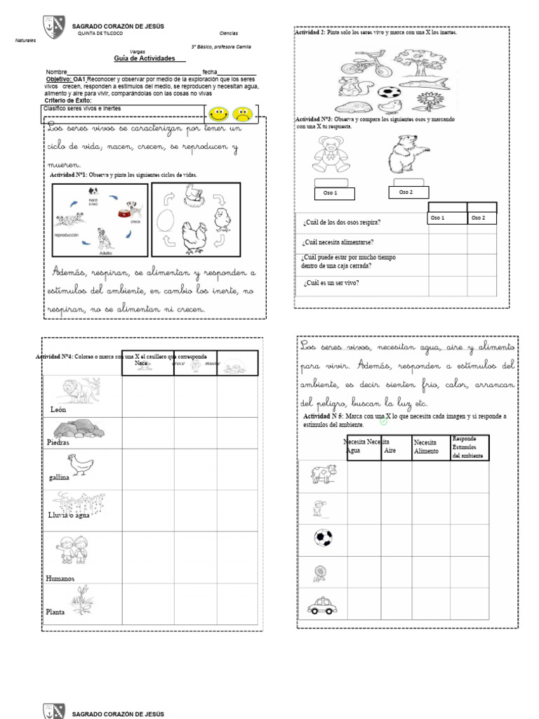 Clasificación de Seres Vivos e Inertes | PDF | Osos