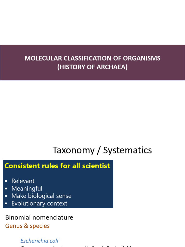 Molecular Classification of Bacteria (History of Archaea) 120 | PDF ...