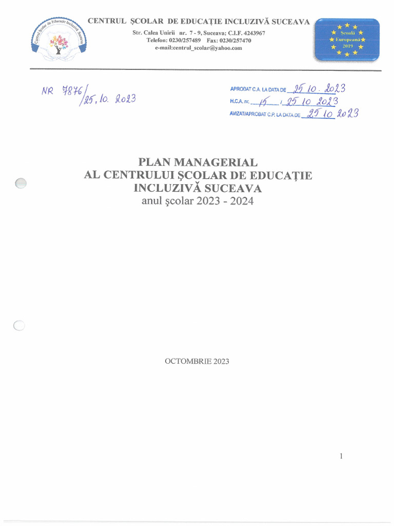 Plan Managerial | PDF