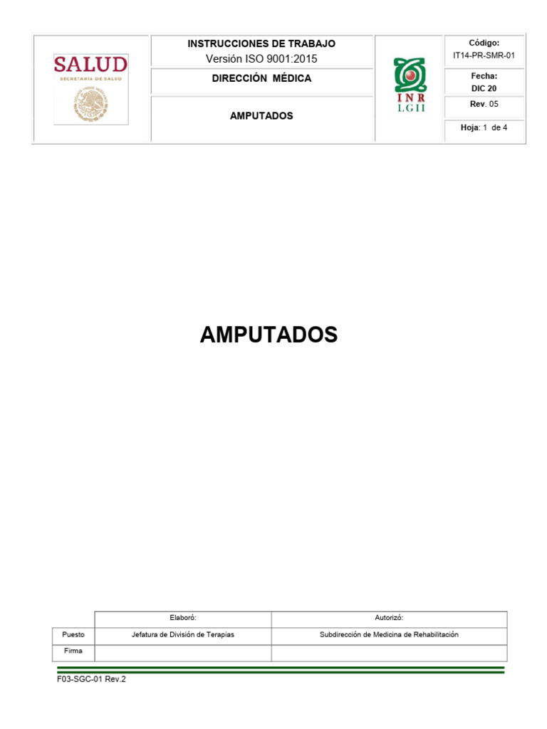 Instrucciones de Trabajo para Amputados | PDF | Terapia