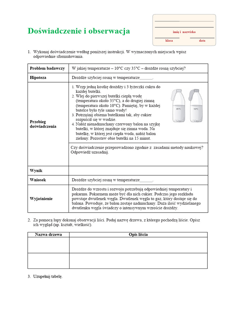 Karta Pracy Doswiadczenie I Obserwacja | PDF