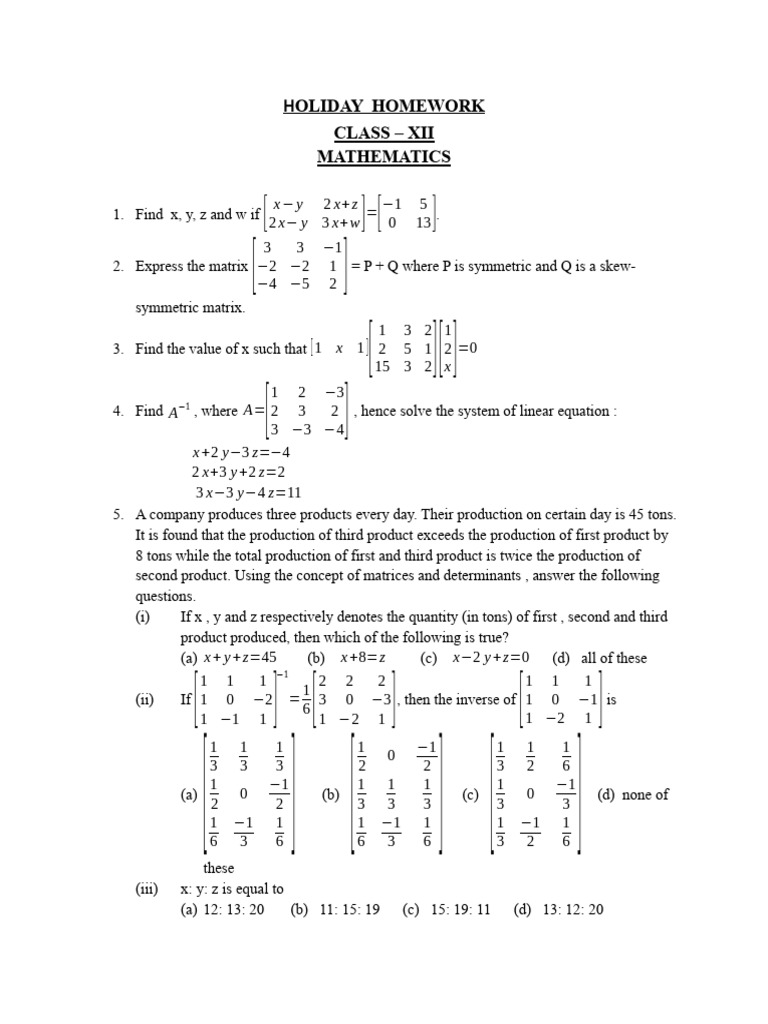 Class XII MATHS HOLIDAY HOMEWORK | PDF | Matrix (Mathematics ...