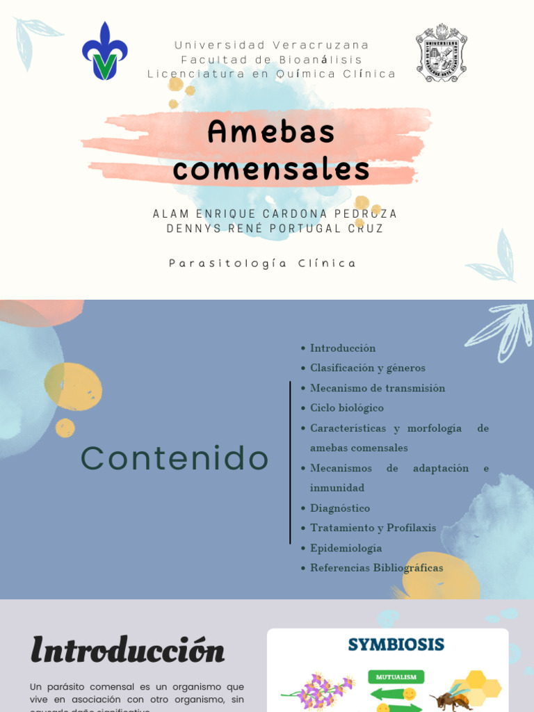 Tema 2. Amebas Comensales | PDF | Especialidades Medicas | Biología