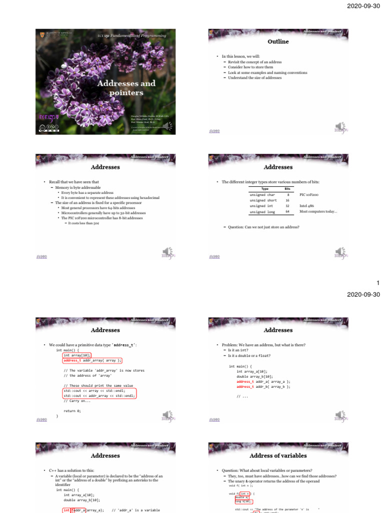 2.01 Addresses and Pointers | PDF | Pointer (Computer Programming) | Integer (Computer Science)