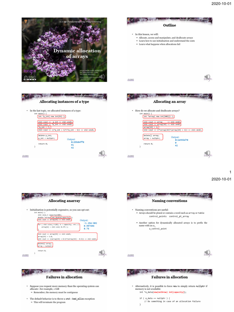 203 Dynamic Allocation Of Arrays Pdf Computer Programming Software Engineering