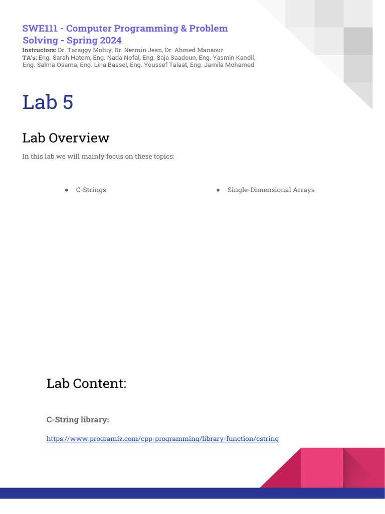 C++ Lab: C-Strings & Arrays Exercises | PDF
