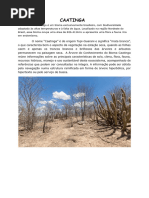 Plantas Nativas Da Caatinga - Ecologia | PDF | Árvores | Botânica