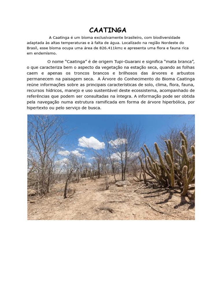 CAATINGA | PDF | Seca | Árvores