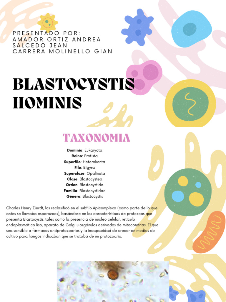Taxonomía de Blastocystis hominis | PDF | Ciencia y matemáticas
