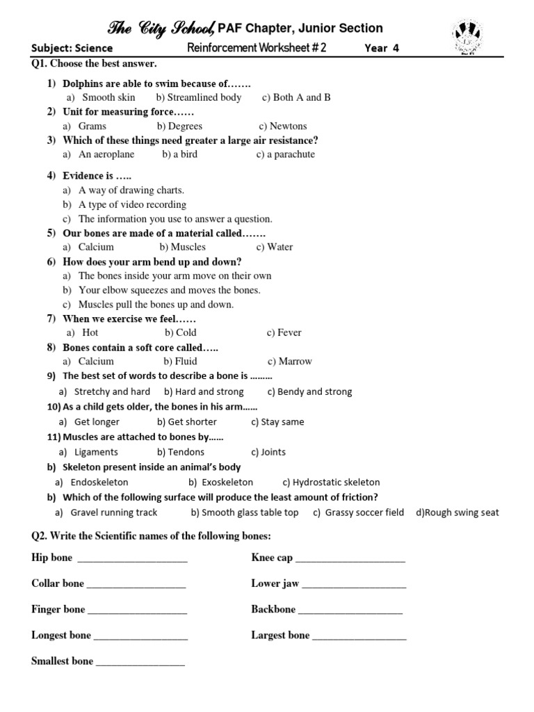Reinforcement Worksheet 2 Science | PDF | Skeleton | Bone