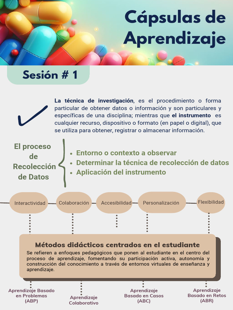 Cápsula de Aprendizaje 1 | PDF