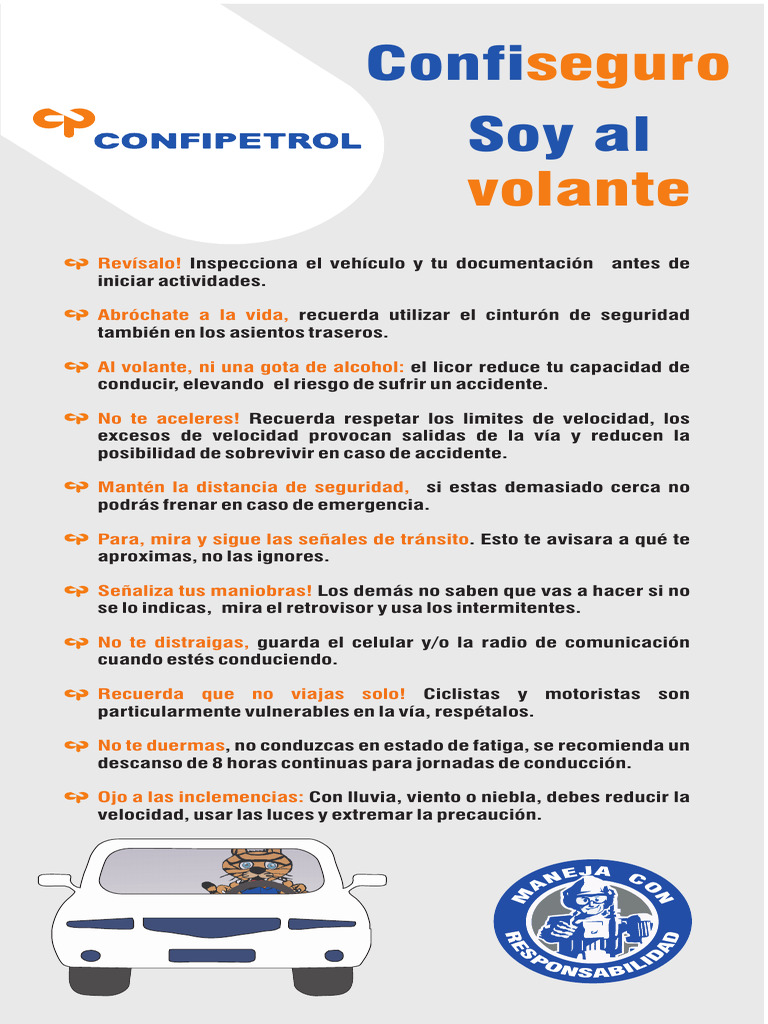 Seguridad Vial: Consejos para Conductores y Peatones | PDF | Peatonal ...