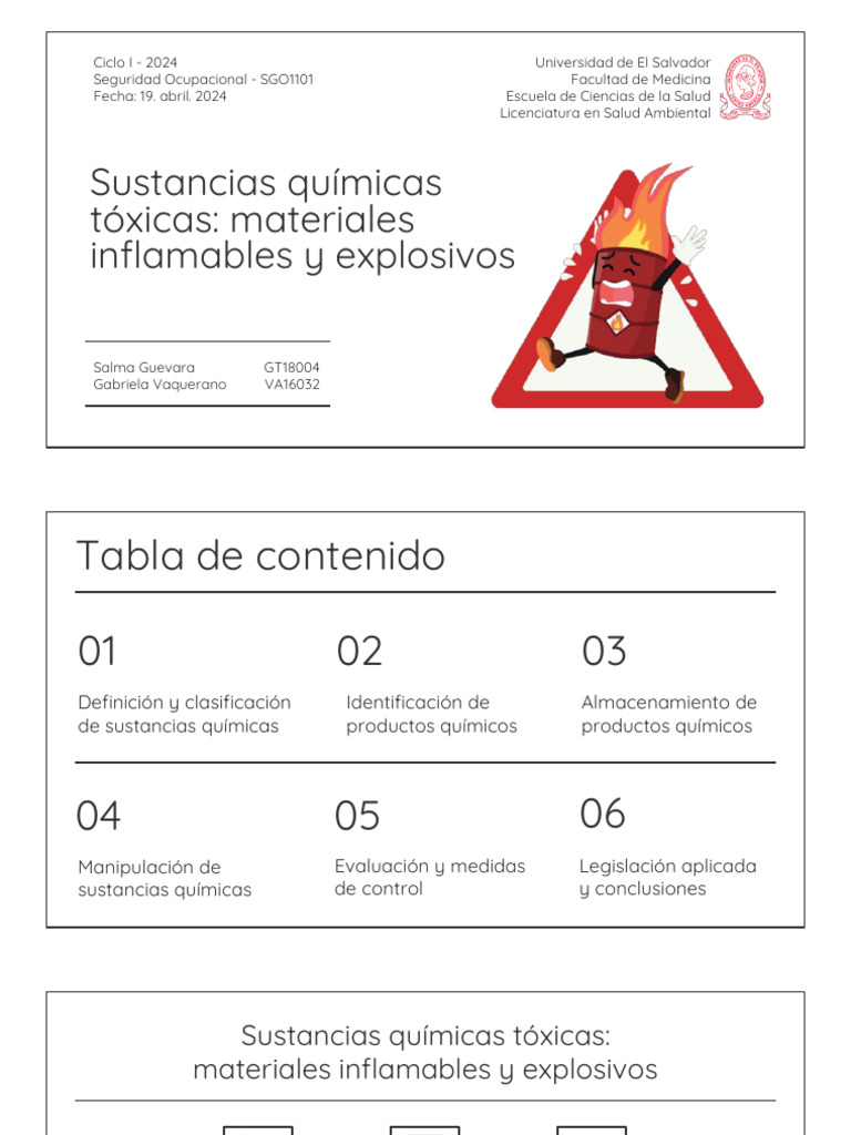 Sustancias Químicas Tóxicas - Materiales Inflamables y Explosivos | PDF | Contaminación ...