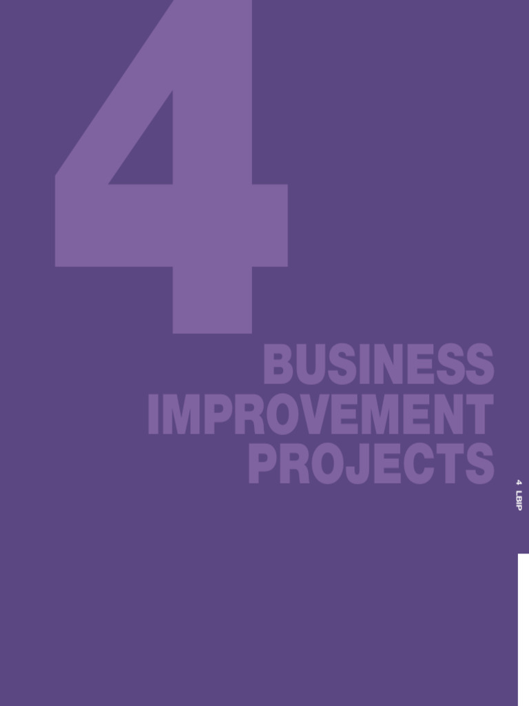4_business_improvement_projects_lbip | PDF | Project Management | Life ...