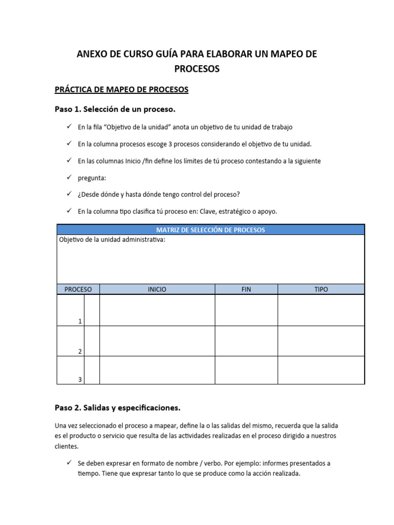 Guía Práctica de Mapeo de Procesos | PDF | Business