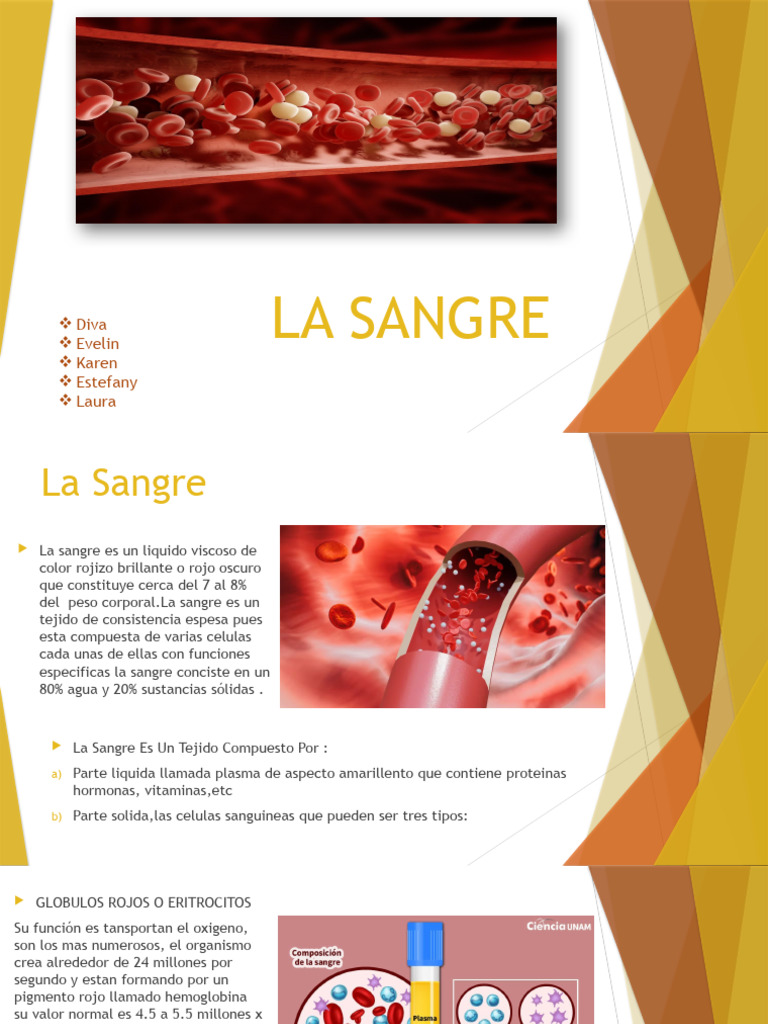 LA SANGRE | PDF | Sangre | Corazón