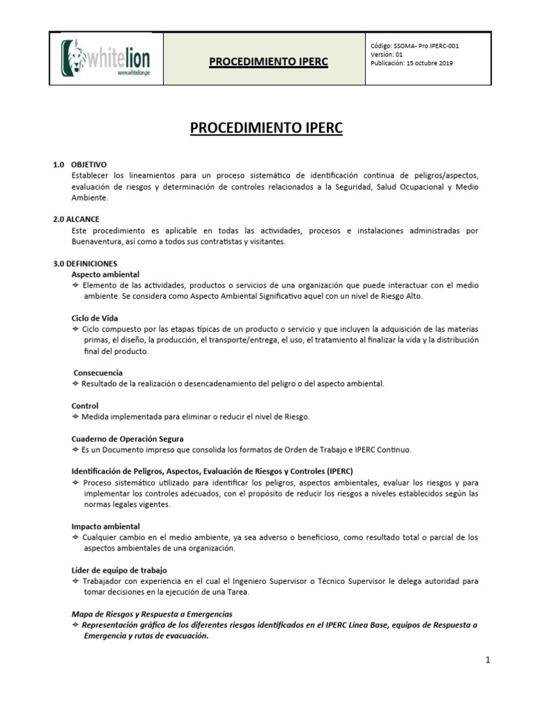 PROCEDIMIENTO IPERC | PDF | Seguridad y salud ocupacional | Riesgo