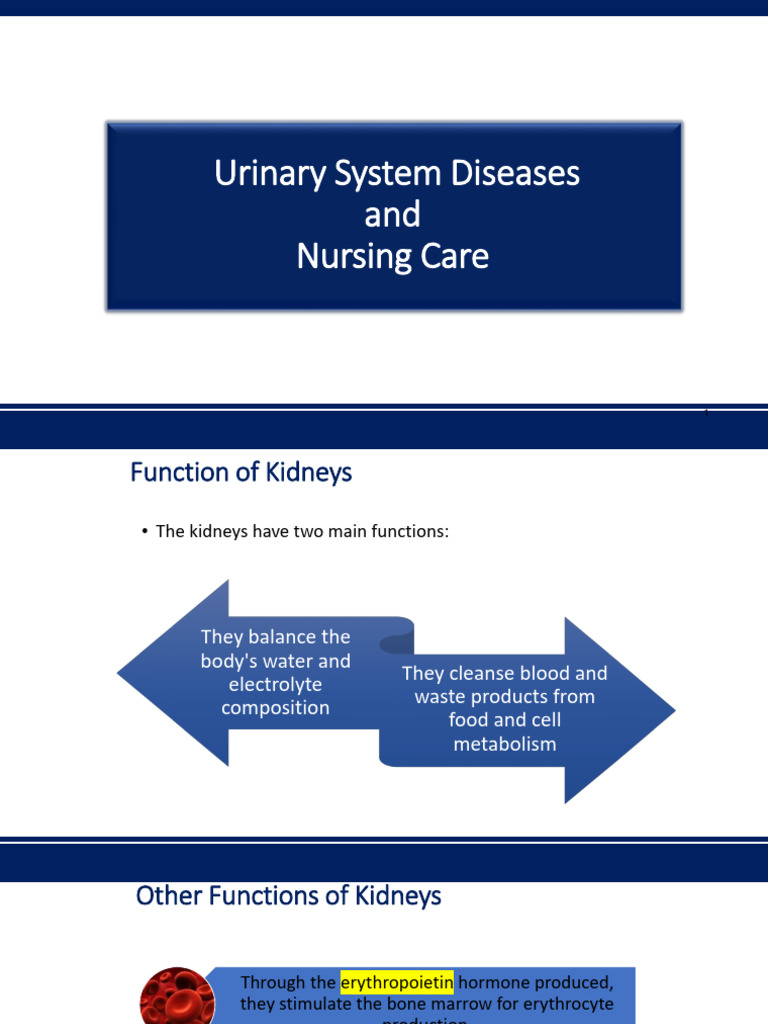 12 Internal Medicine - Nephrology | PDF | Hemodialysis | Urinary System 12 Internal Medicine - Nephrology | PDF | Hemodialysis | Urinary System