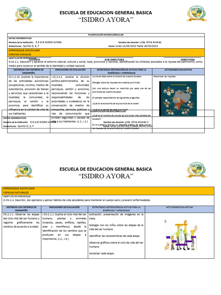 Planificación Microcurricular Semana 5 Elina Alvarez | PDF ...