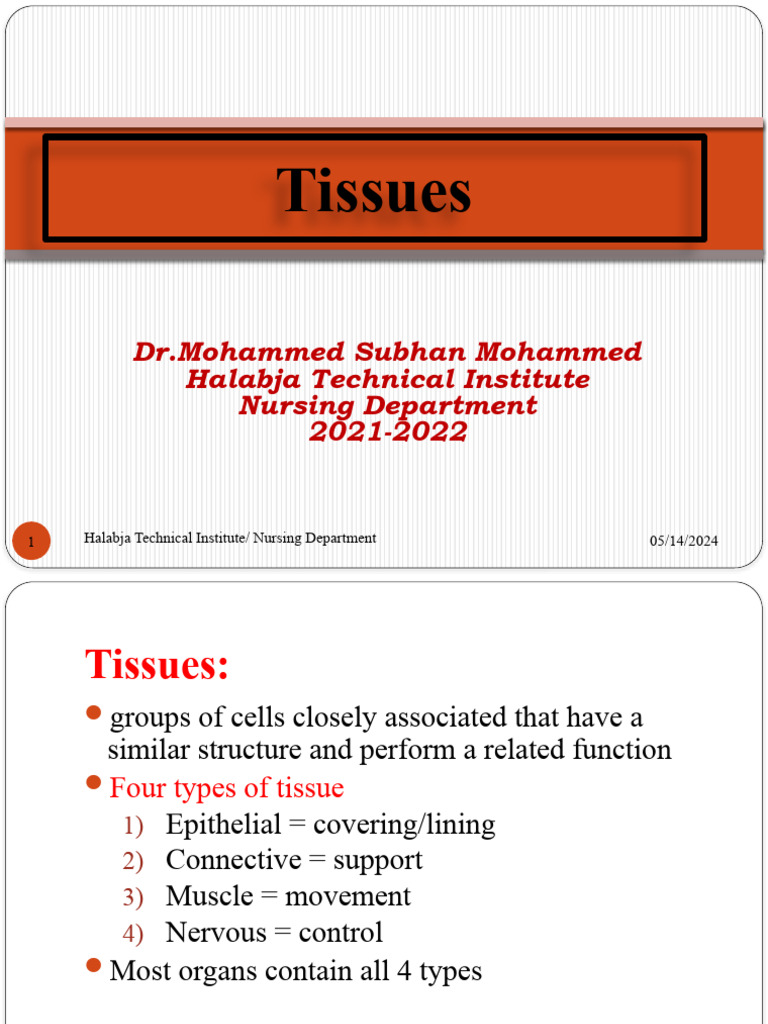 Lec 2 | PDF | Connective Tissue | Muscle