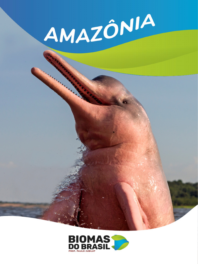 BIO_AP_Biomas do Brasil_Amazônia | PDF | Rio Amazonas | Floresta Amazônica