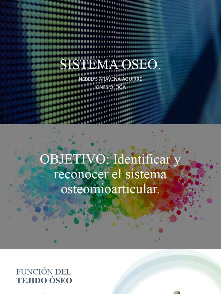 Sistema Oseo Parte 1 | PDF | Hueso | Osteoblastos
