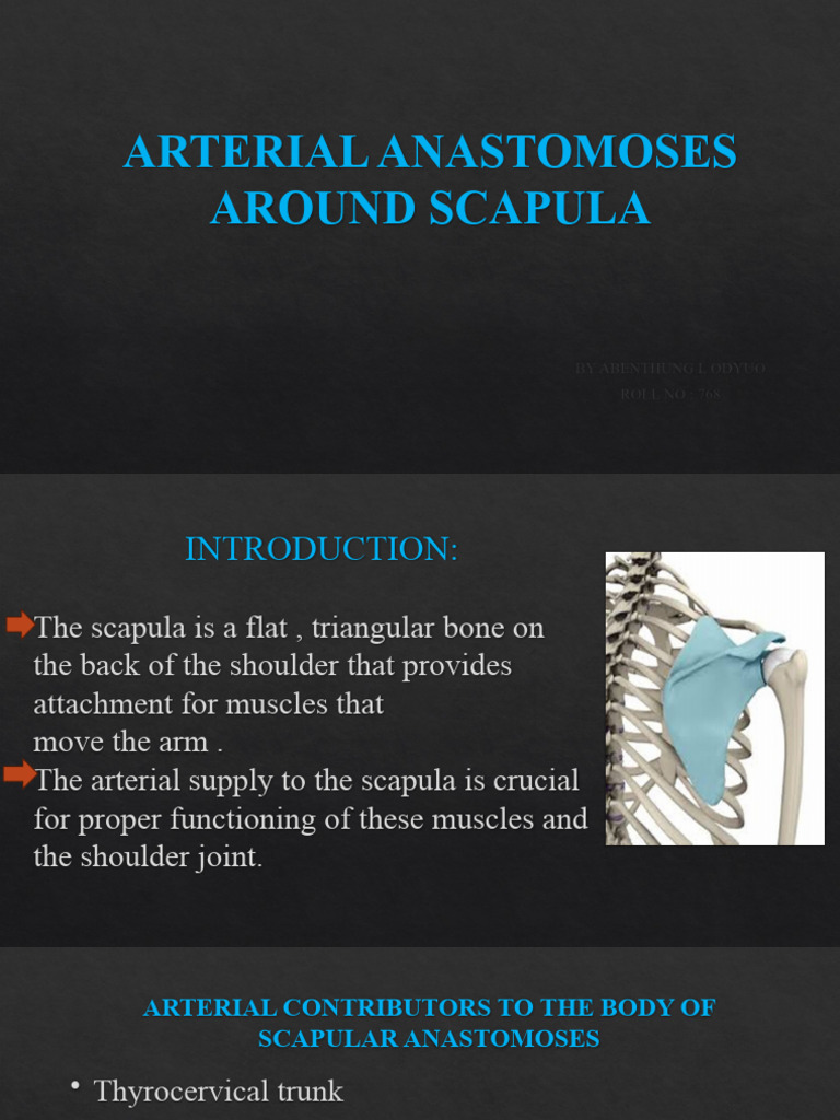 Arterial Anastomoses Around Scapula: by Abenthung L Odyuo Roll No: 768 ...