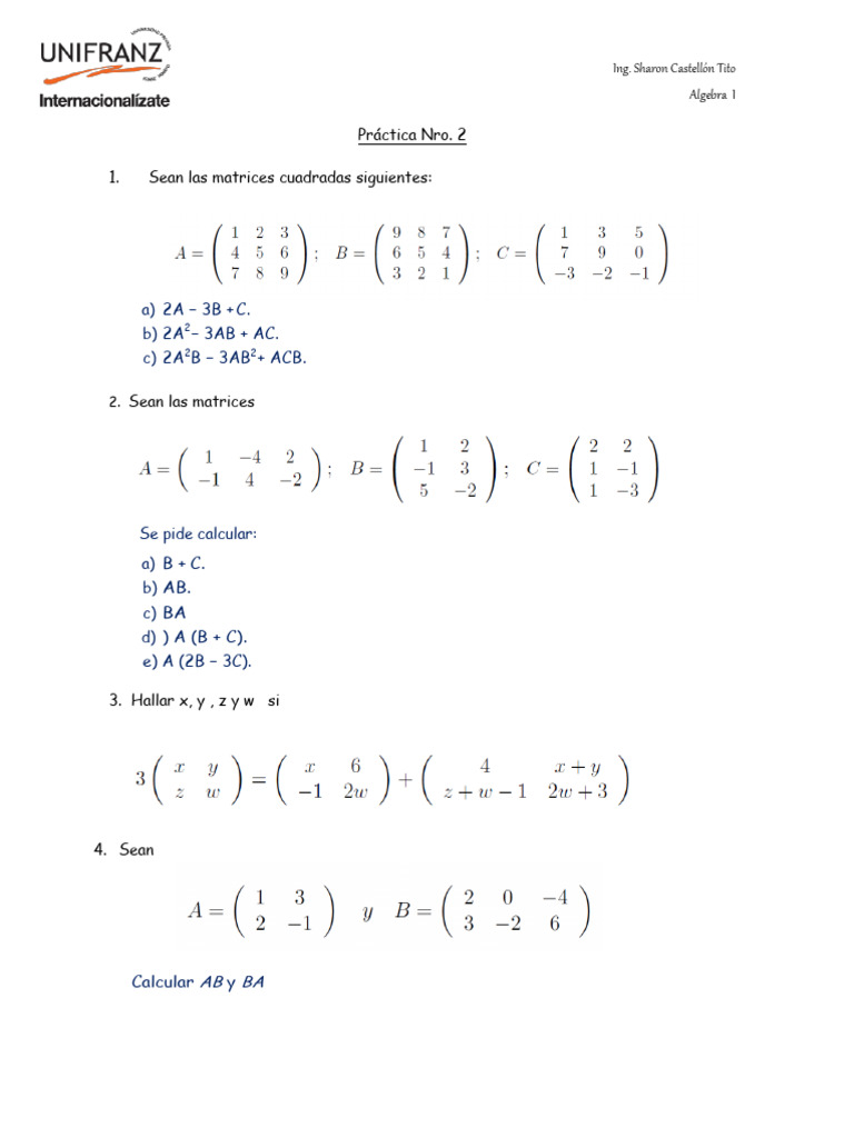 Practica Matrices | PDF | Matriz (Matemáticas) | Álgebra lineal