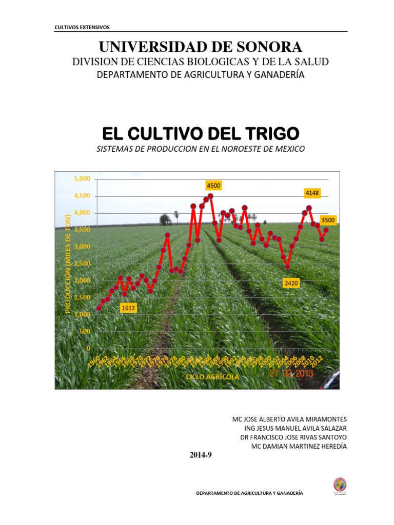 El Cultivo Del Trigo | PDF | Trigo | Raíz