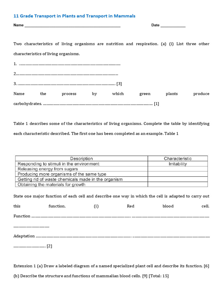 Worksheet 11 grade transport | PDF | Enzyme | Cell (Biology)