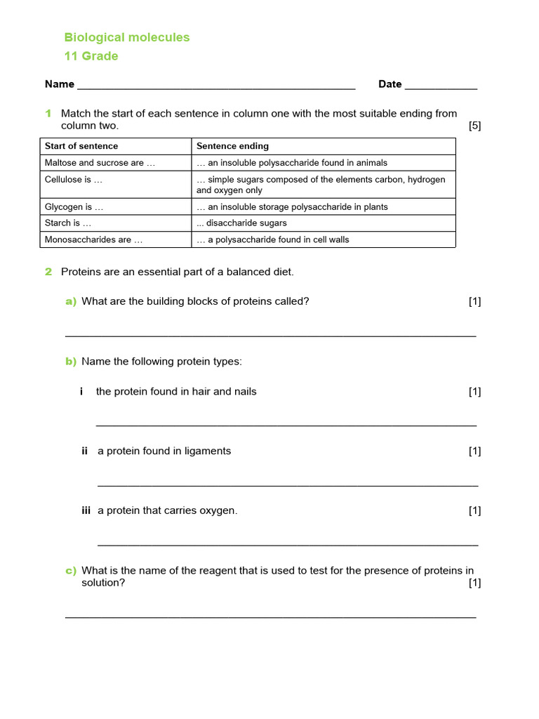 Worksheet Biological Molecules | PDF | Carbohydrates | Polysaccharide