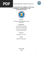 Prueba Gravindex para Diagnóstico de Embarazo | PDF