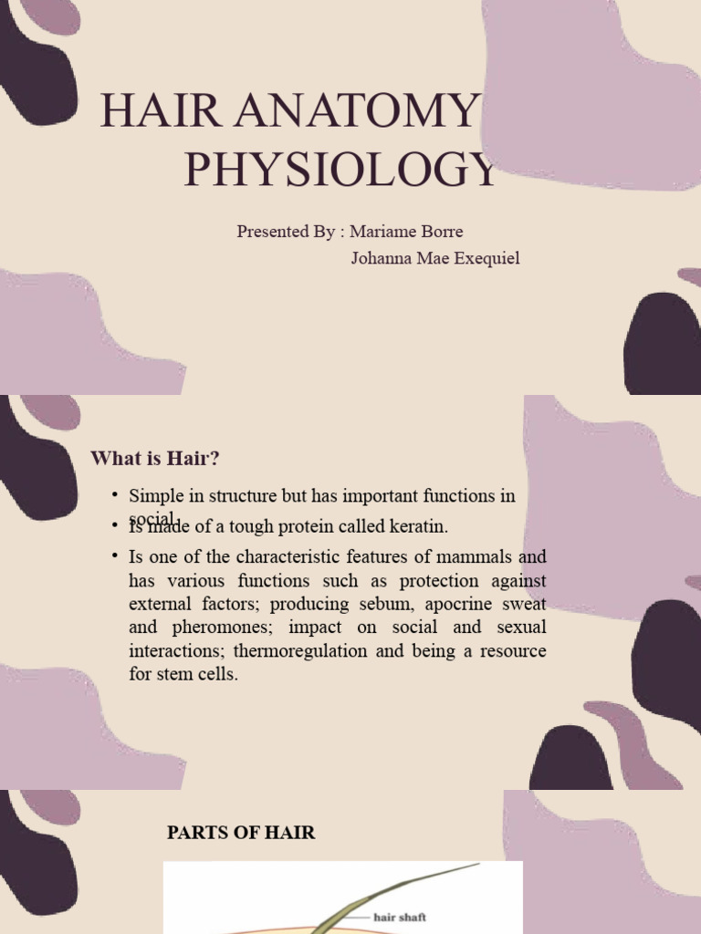 Hair Anatomy and Physiology 1 | PDF | Hair | Integumentary System