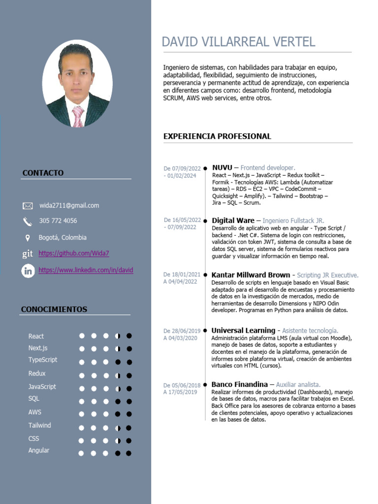 CV David Villarreal | PDF | Lenguaje de escritura | Script Java