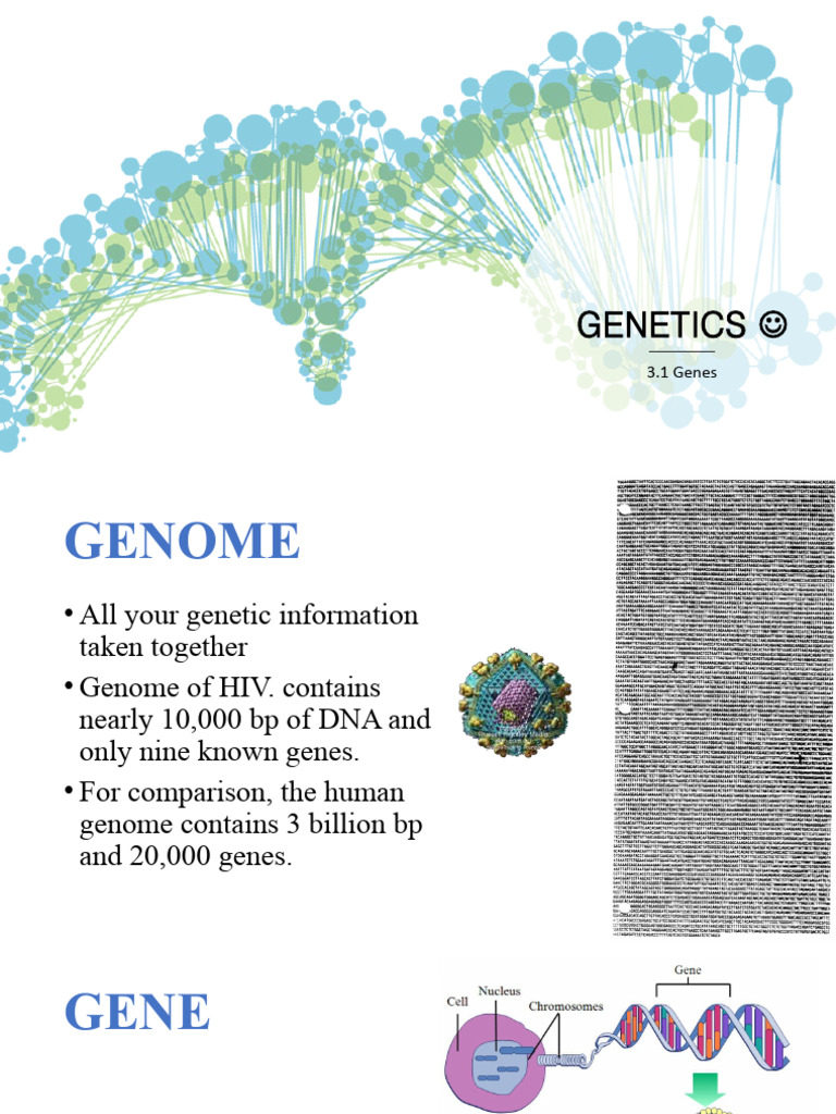 3.1 Genes | PDF | Gene | Genetic Variation