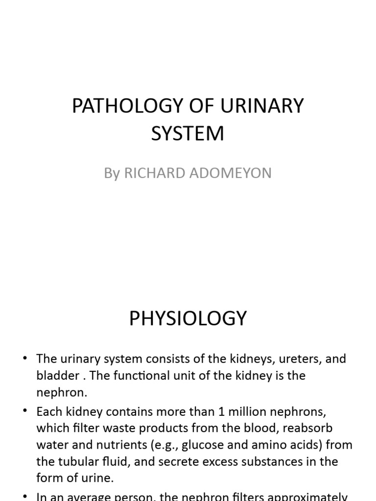 Pathology of Urinary System | PDF | Urology | Urinary System