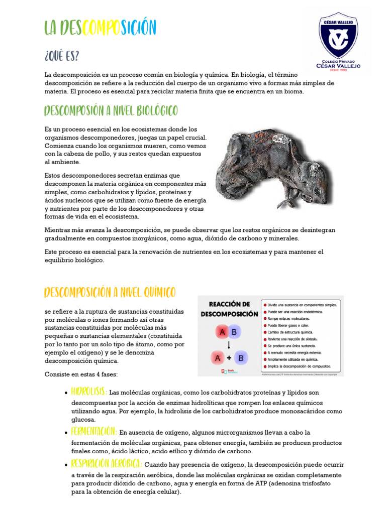 La Descomposición | Descargar gratis PDF | Descomposición | Hidrólisis