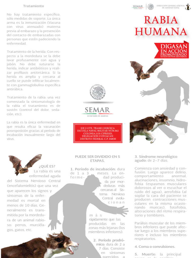 Tratamiento y Síntomas de la Rabia | PDF | Rabia | Medicina