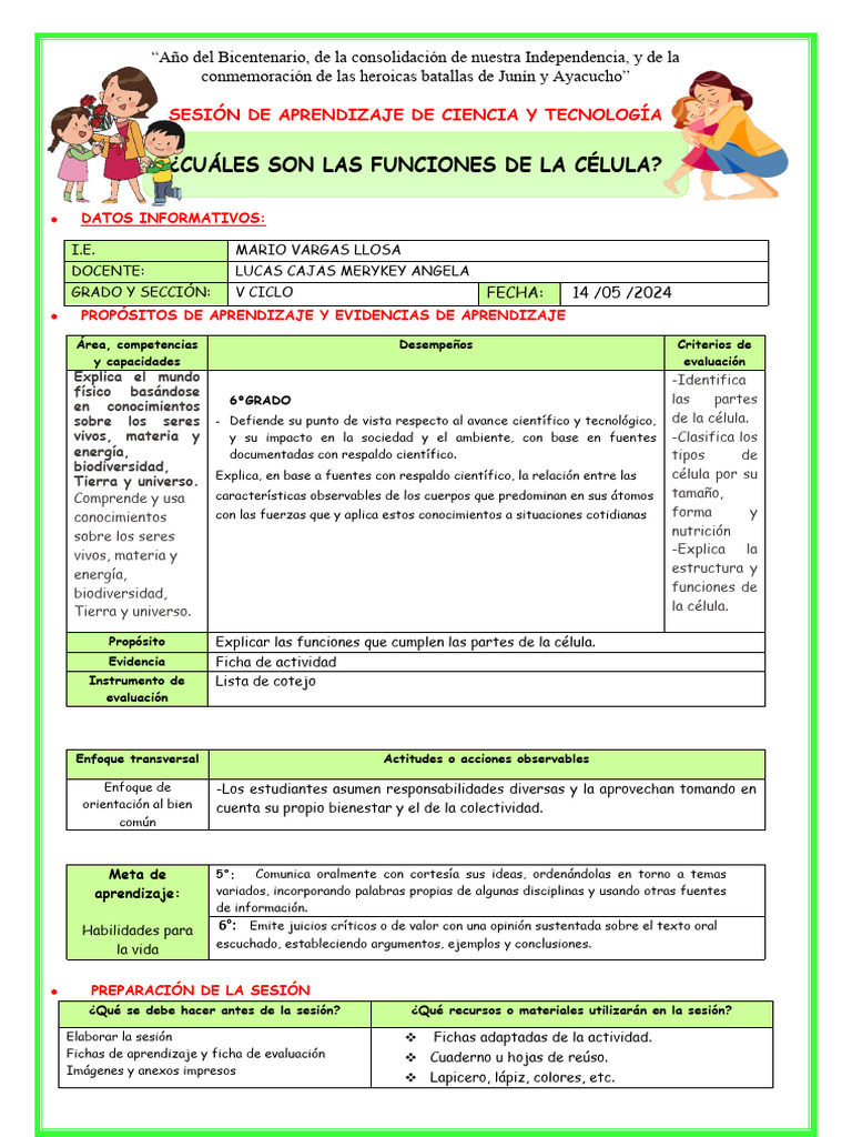 Funciones de la Célula en 6° Grado | PDF | Citoplasma | Plantas