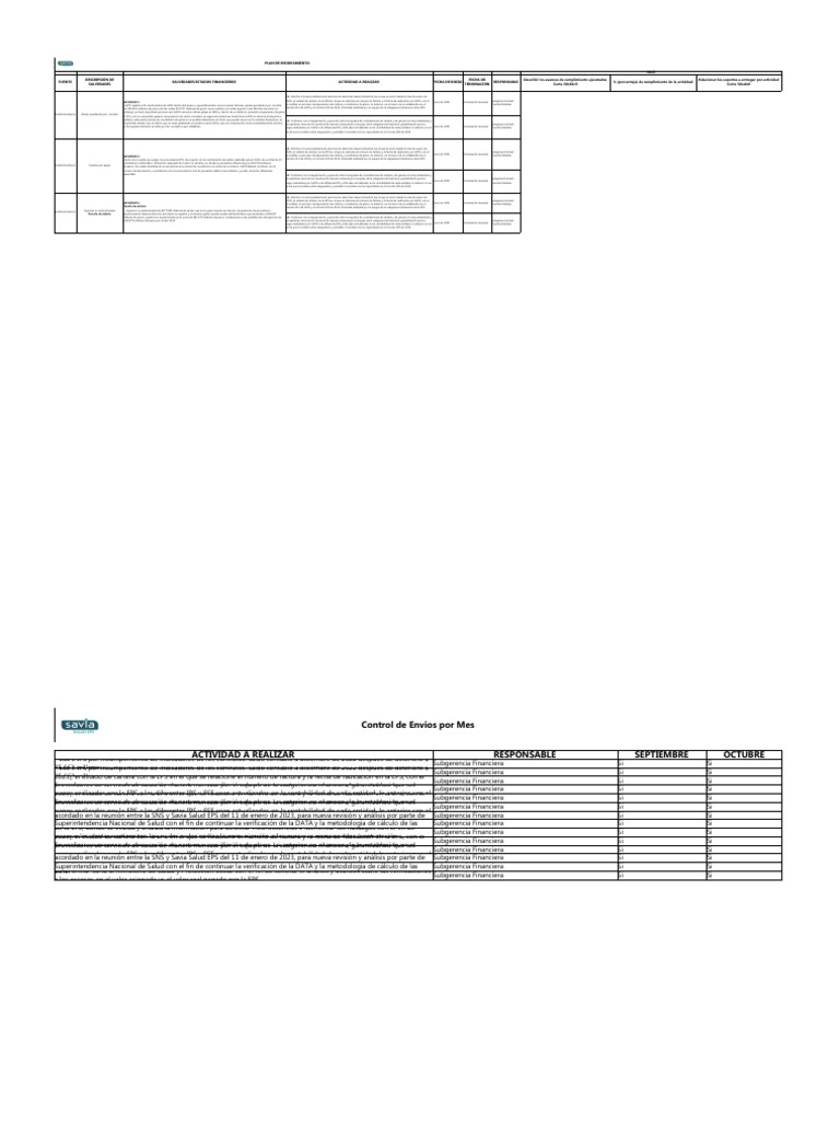 Salvedades EEFF 2022 - Plan de Mejora - Cuentas Medicas | PDF | Contabilidad | Auditoría