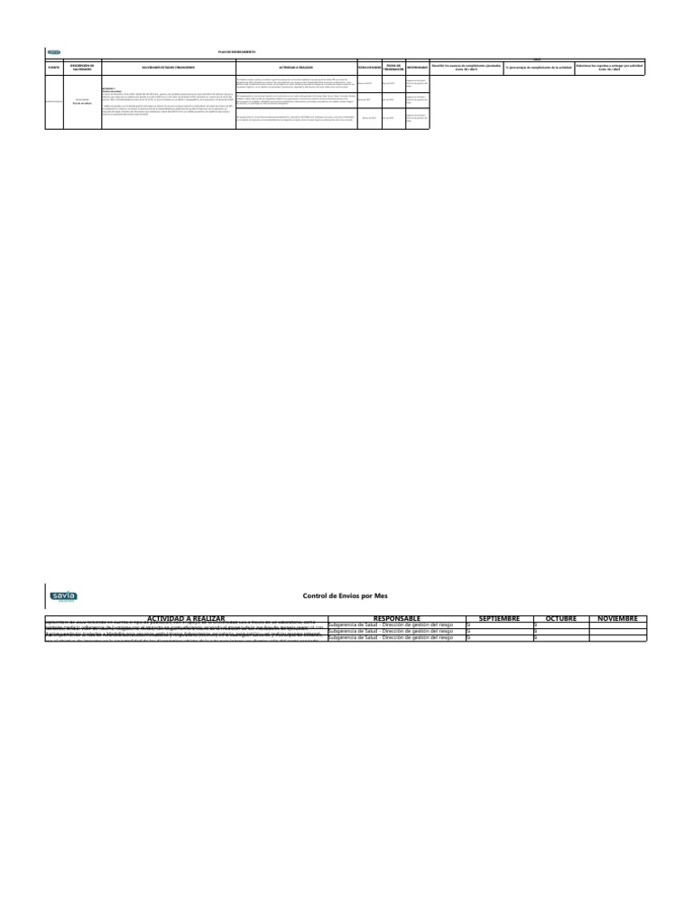 Salvedades EEFF 2022 - Plan de Mejora - Riesgos | PDF | Cuidado de la salud