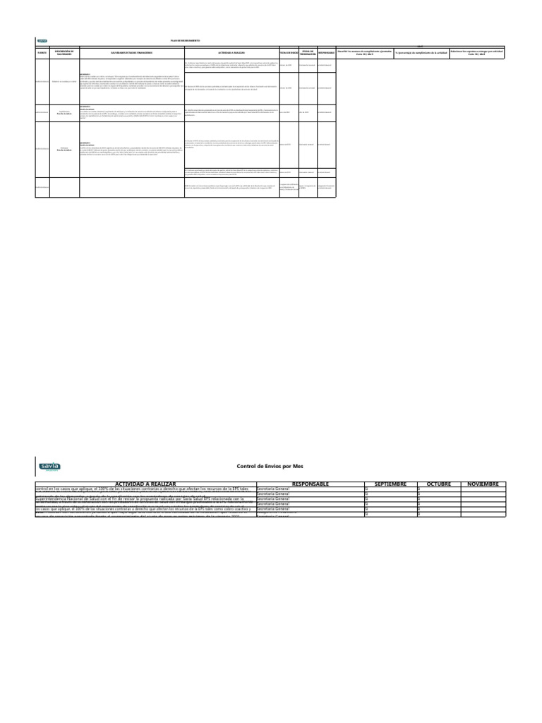 Salvedades EEFF 2022 - Plan de Mejora - Secretaria General | PDF