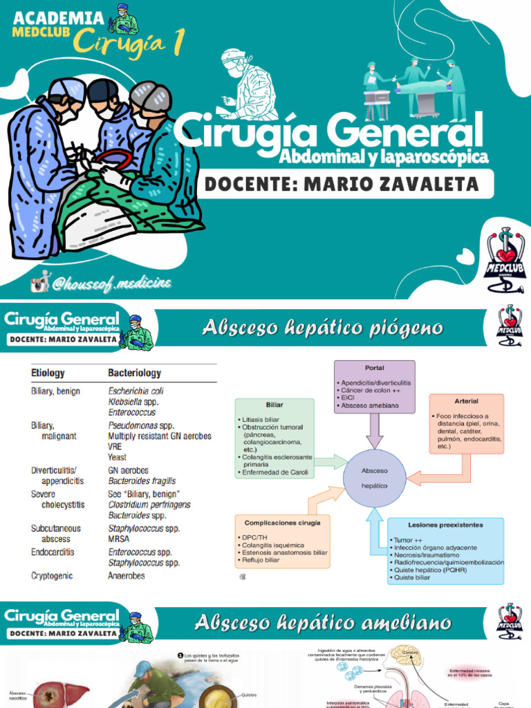 Tema 38 Mario | PDF | Elisa | Medicina CLINICA