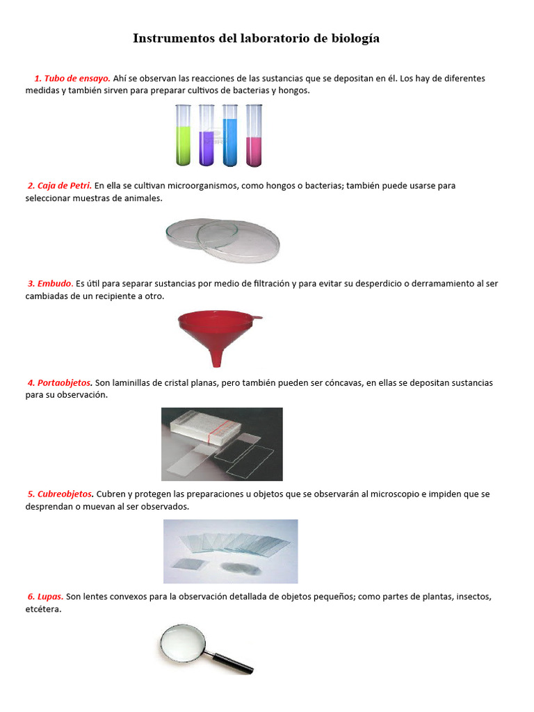 Instrumentos Del Laboratorio de Biología | PDF