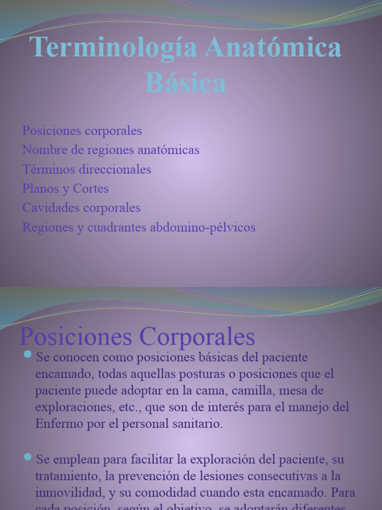 Terminología Anatómica Básica (1) | PDF | Términos anatómicos de ...